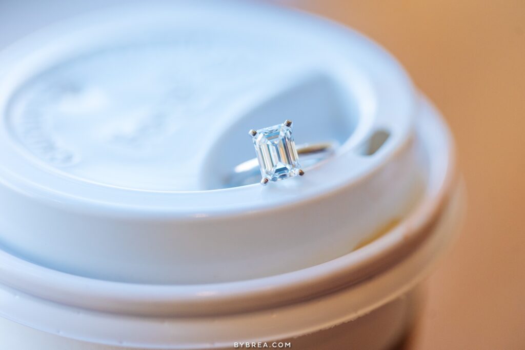 Hana + Greg | Pitango & Sound Garden Engagement Photos | Fells Point ...