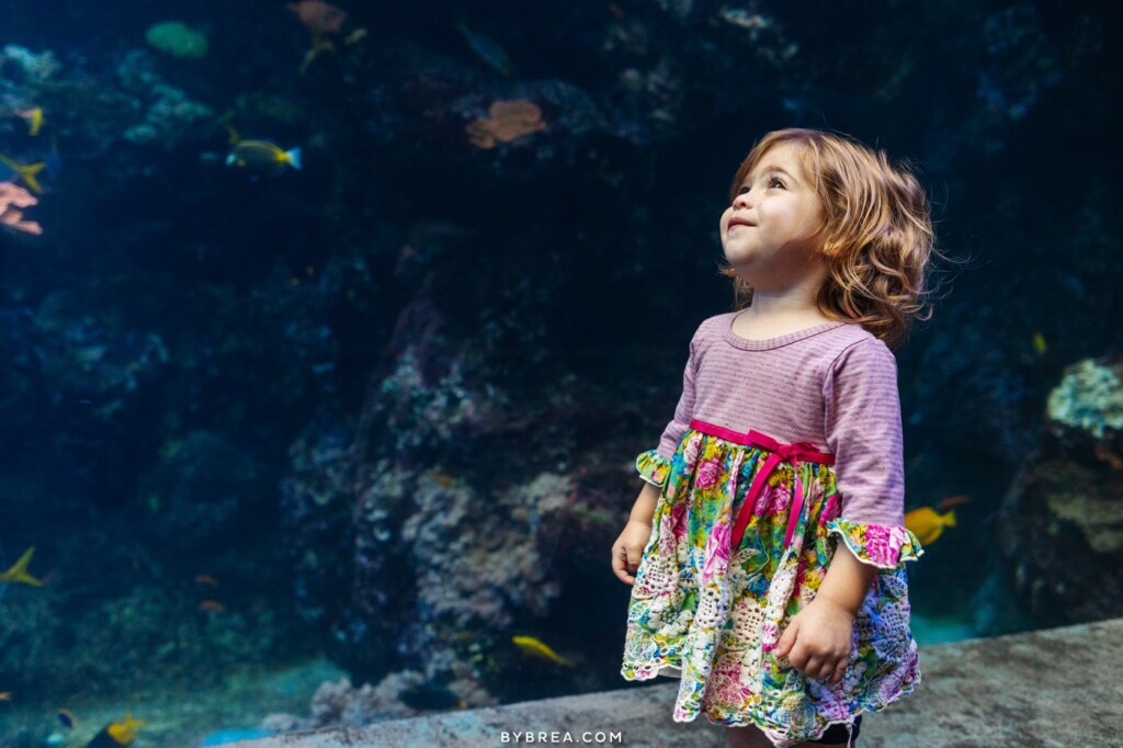 Christina + Zach | Georgia Aquarium Engagement Photos | Atlanta, GA ...